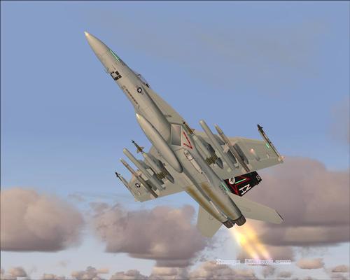 Flight Simulator 2004 - Various fighter