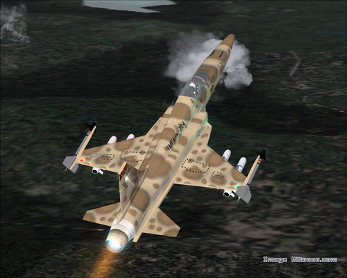 Flight Simulator 2004 - Various fighter